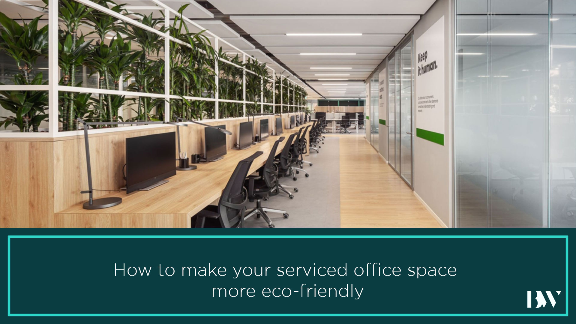 How to Make Your Serviced office Space More eco-Friendly